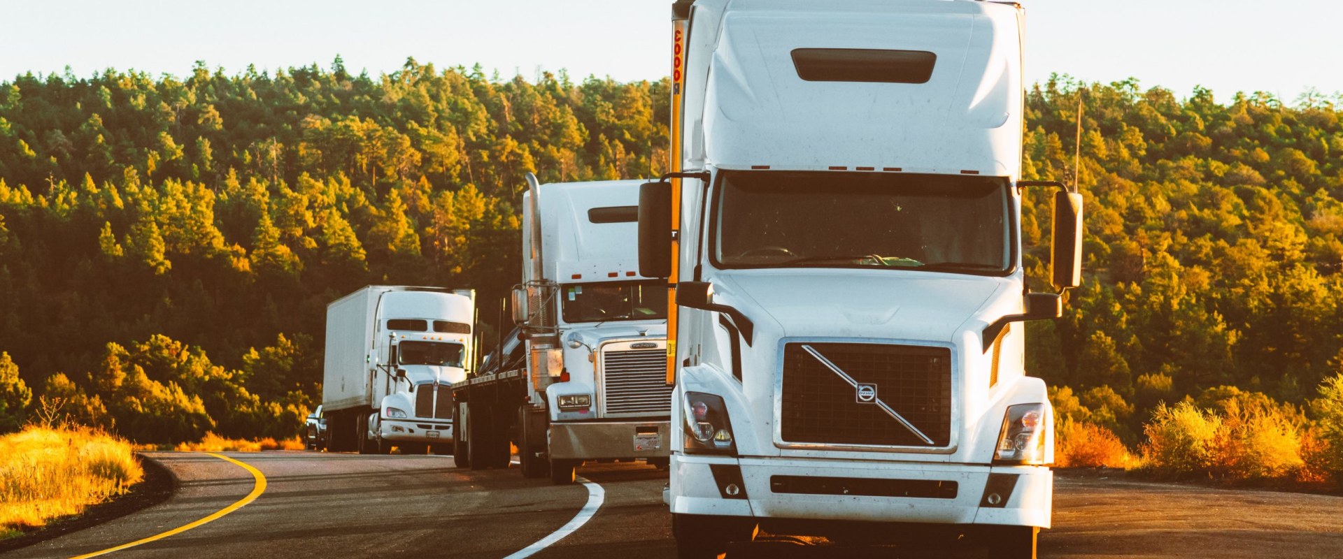 Freight Forwarding Tracking and Visibility